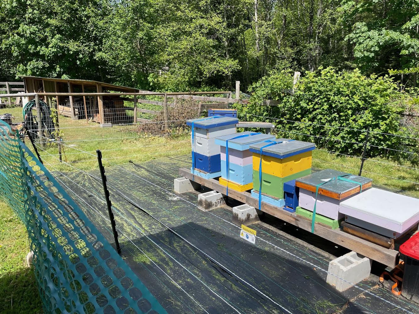 A “bear mat” for your bee keeping Bear Sentry. – Bear Sentry Systems