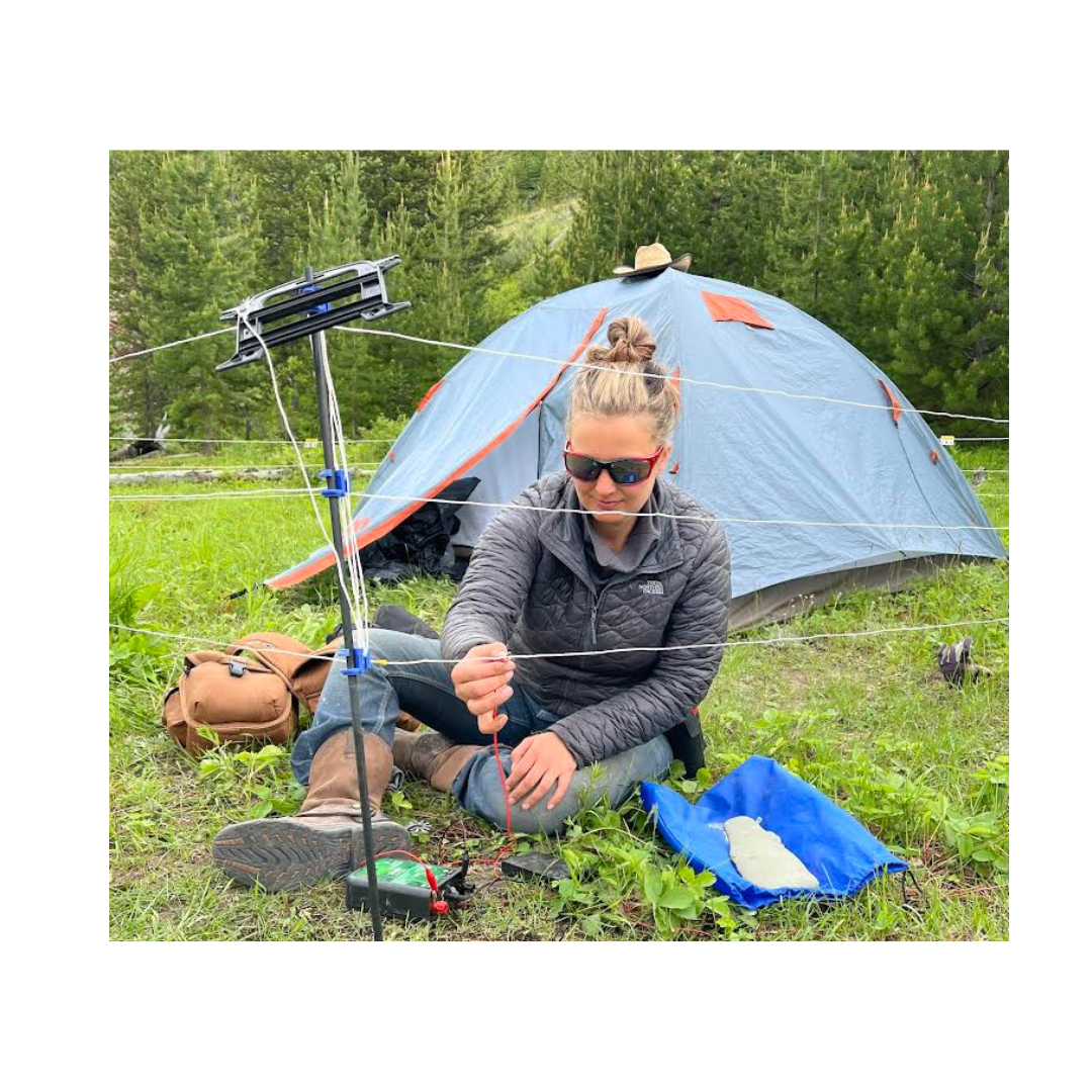 Backcountry | Bear Fencing | Portable Electric Fences – Bear Sentry Systems